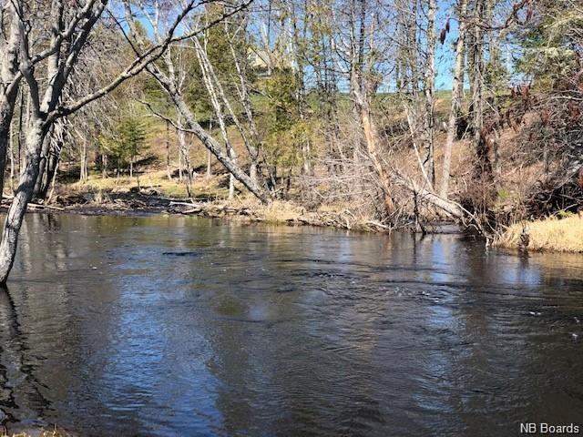 Keller Williams Capital Realty - Miramichi, NB