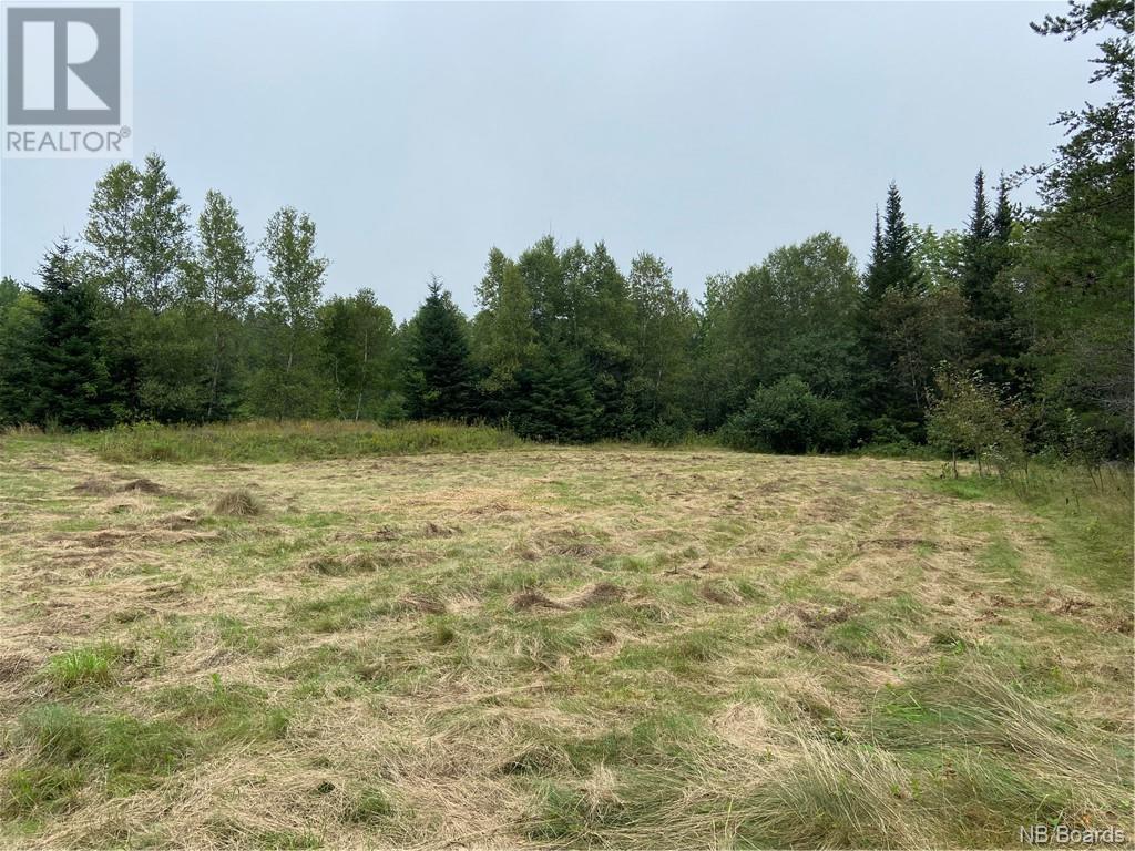 Keller Williams Capital Realty - Saint John, NB